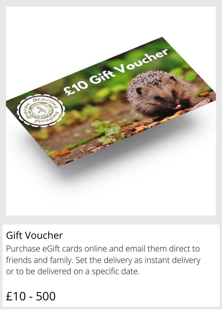 adele-gift-card-1 | Talybont-on-Usk